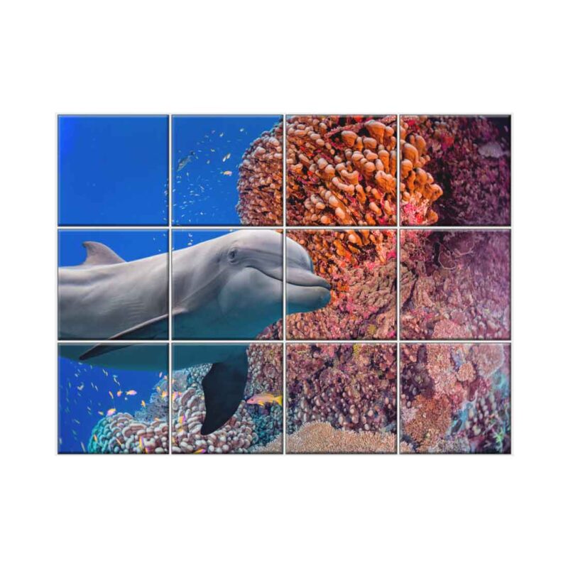 NISH! Dolphin Wall Tiles #031 - Ceramic, Digital Poster Wall Tiles - NISH!