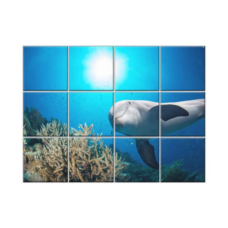 NISH! Dolphin Wall Tiles #032 – Ceramic, Digital Poster Wall Tiles – NISH!