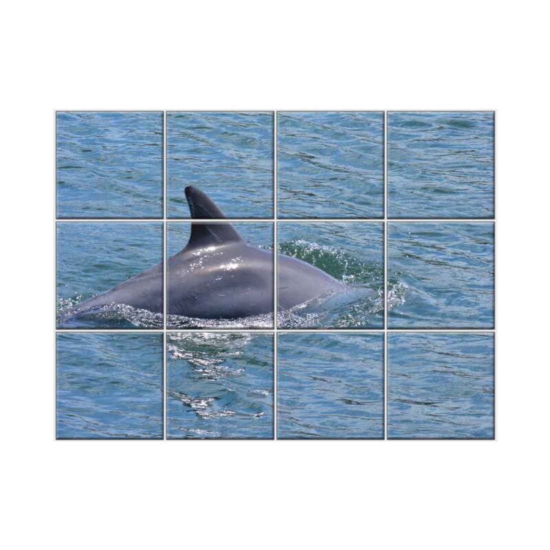 NISH! Dolphin Wall Tiles #041 - Ceramic, Digital Poster Wall Tiles - NISH!
