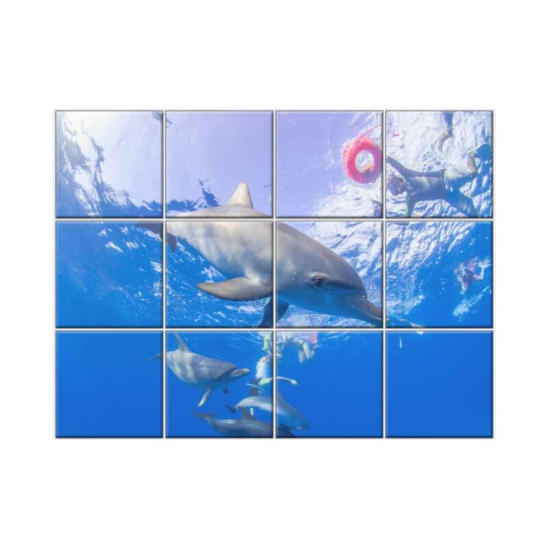 NISH! Dolphin Wall Tiles #042 – Ceramic, Digital Poster Wall Tiles – NISH!