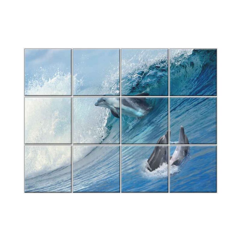 NISH! Dolphin Wall Tiles #077 - Ceramic, Digital Poster Wall Tiles - NISH!